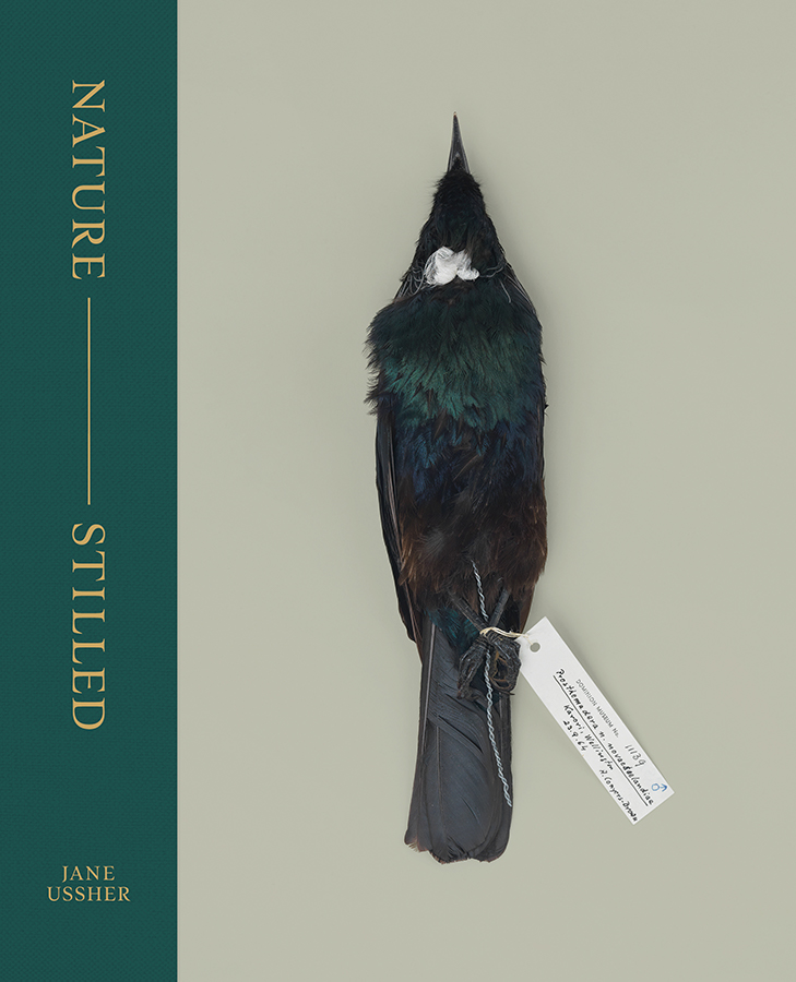 Jane Ussher photographs examine the natural world – New Zealand Arts Review