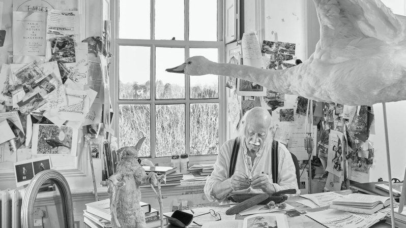 Ray Ching’s sumptuous new book of New Zealand bird paintings – New ...