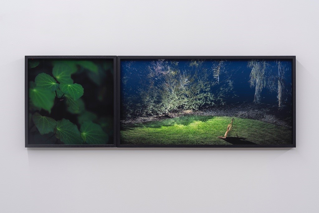Kowhaiwhai exhibition explores traditional and contemporary notions of ...