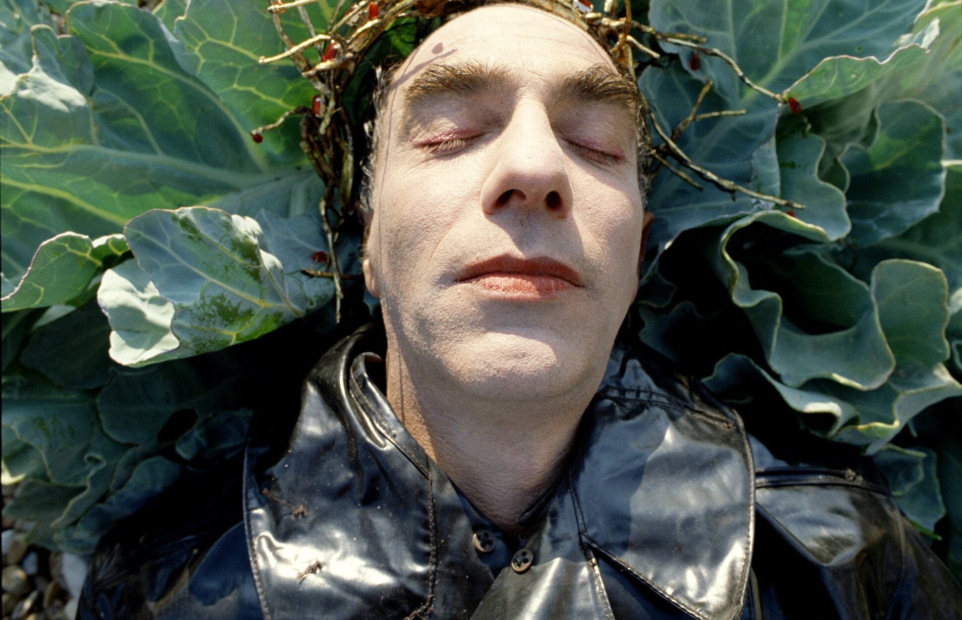 Derek Jarman’s Delphinium Days coming in June – New Zealand Arts Review